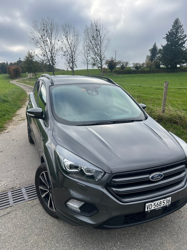 FORD Kuga 2.0 TDCi ST Line High 4WD PowerShift Acquistare in vendita