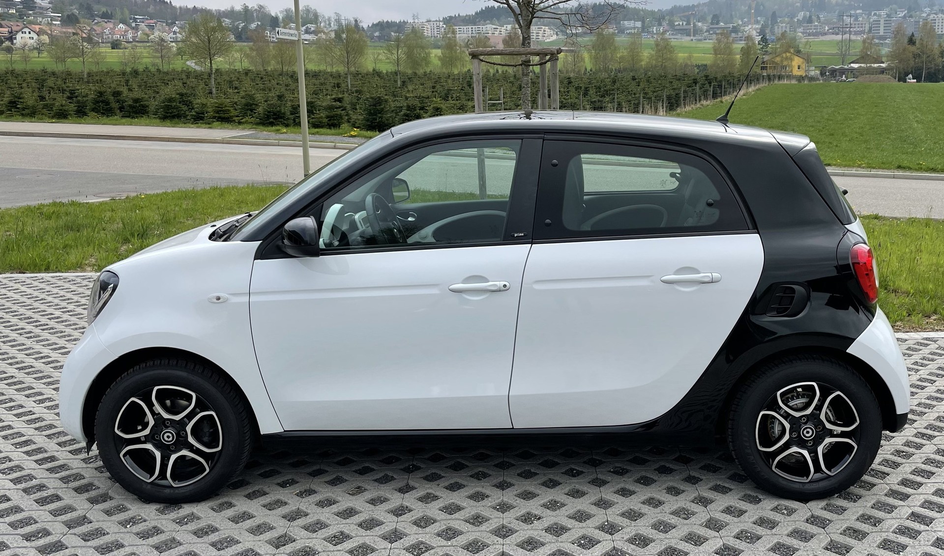 SMART forfour prime Kaufen