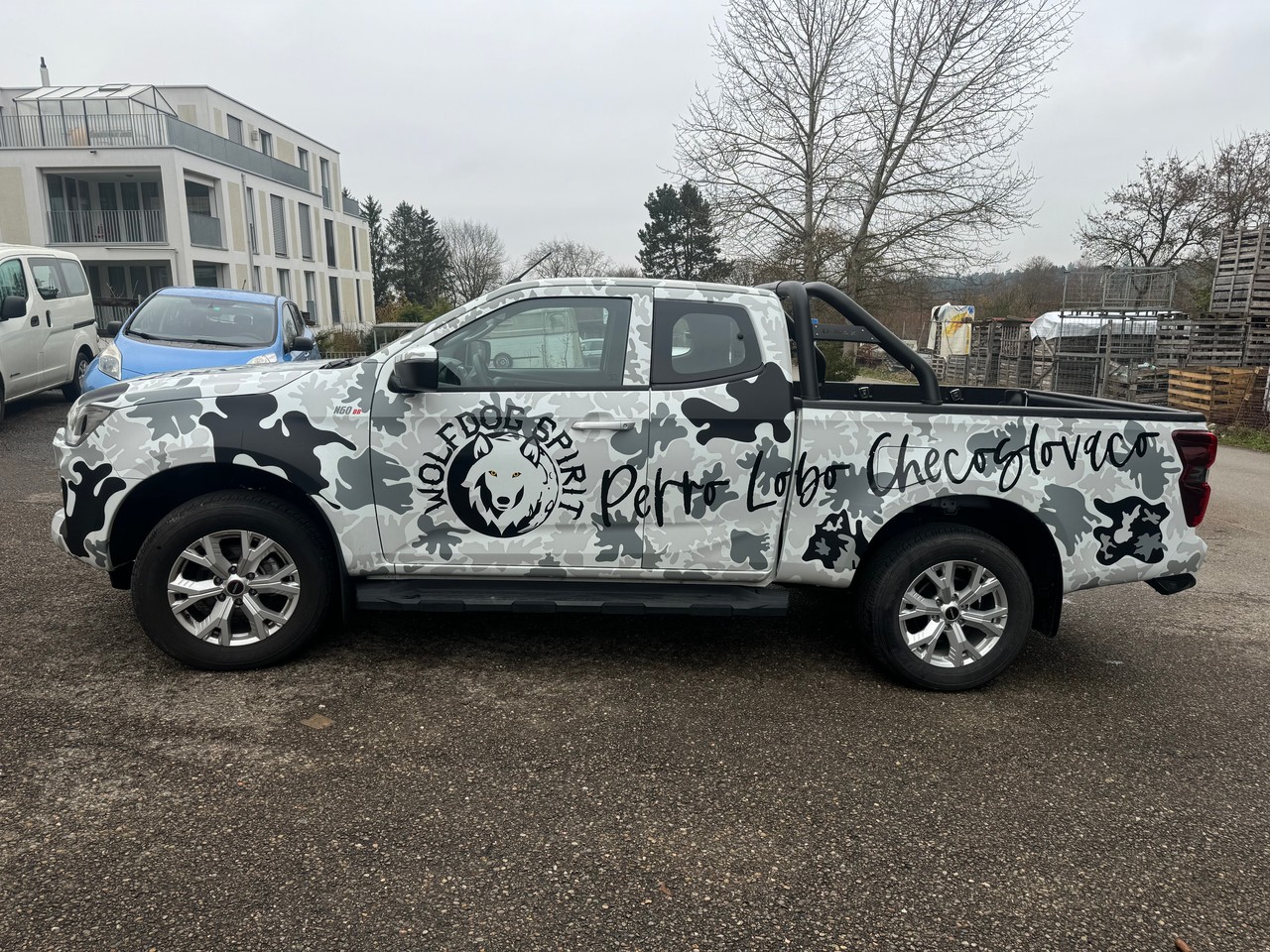 Pick-up - Occasionen kaufen | AutoScout24