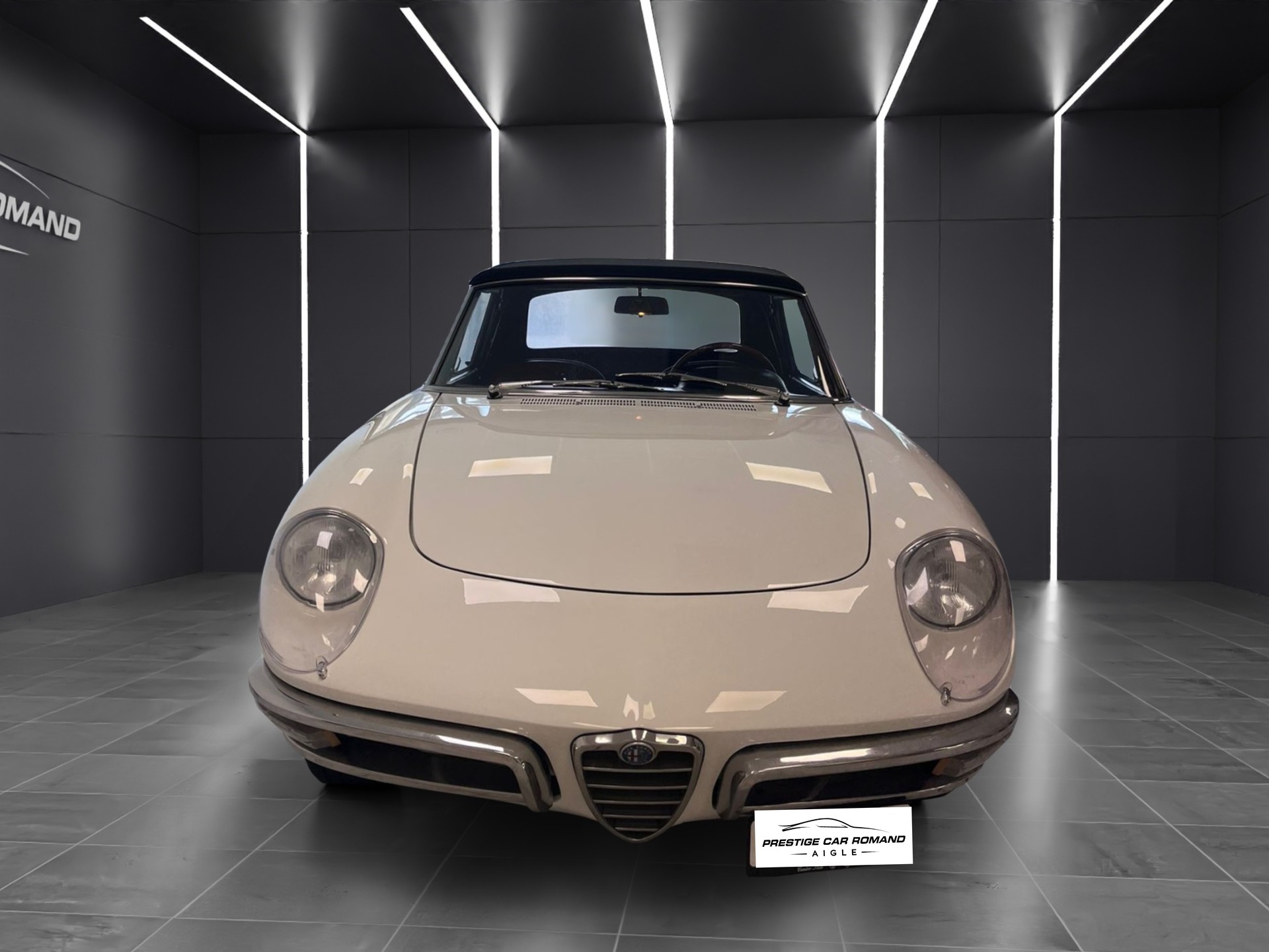ALFA ROMEO SPIDER Duetto Osso di Seppia Kaufen