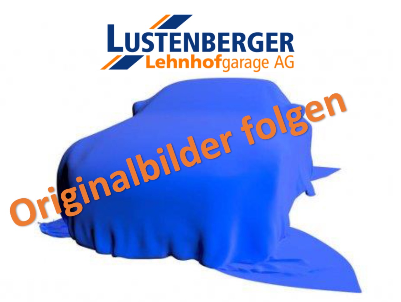 Lustenberger Lehnhofgarage AG | AutoScout24