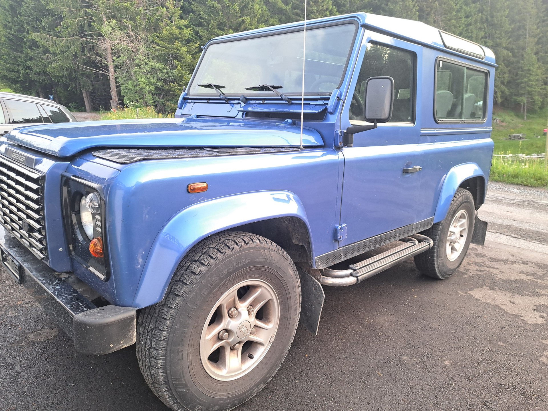 LAND ROVER Defender 90 SW 2.5 Td5 Kaufen