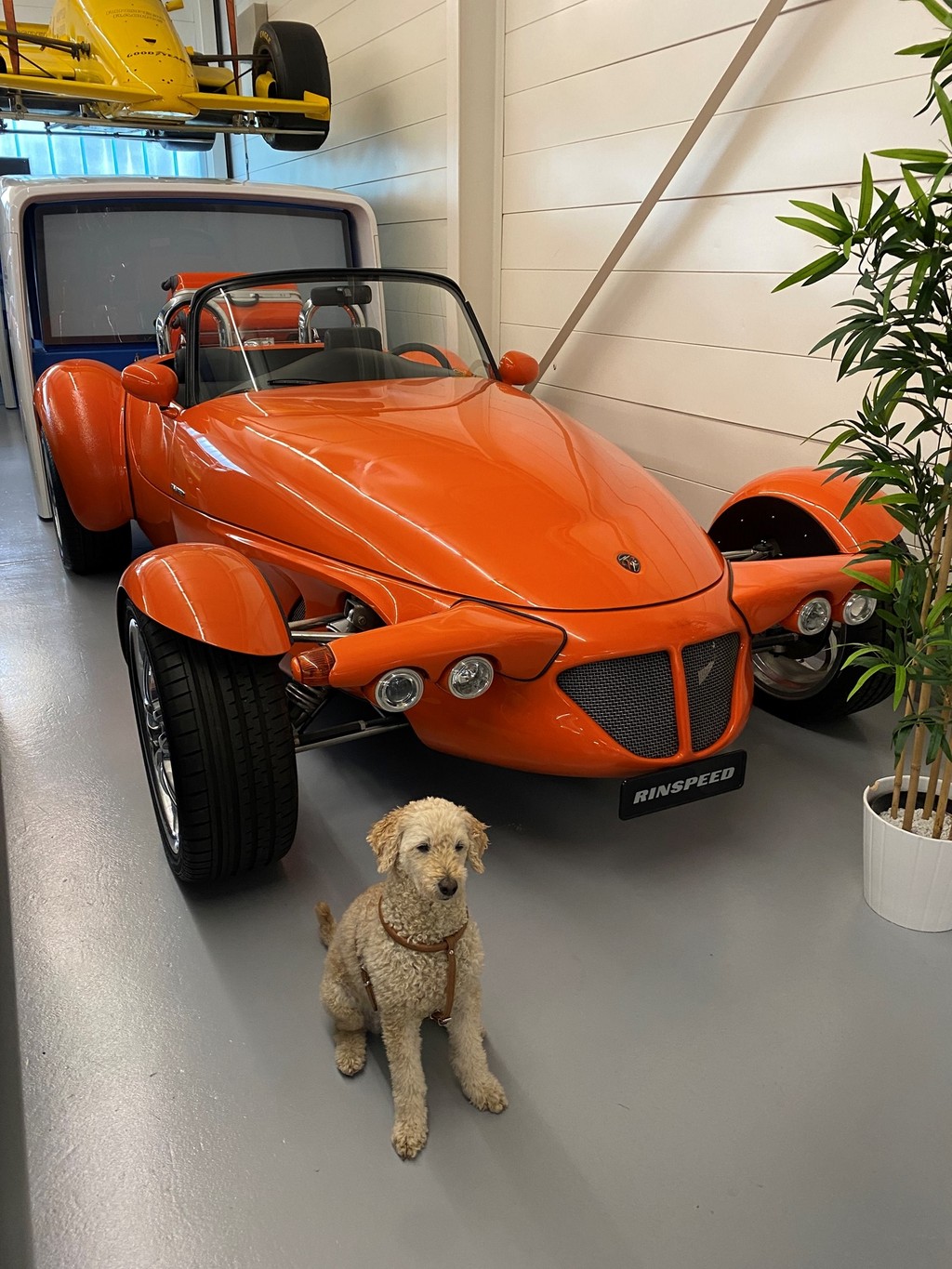 RINSPEED ROADSTER R Kaufen