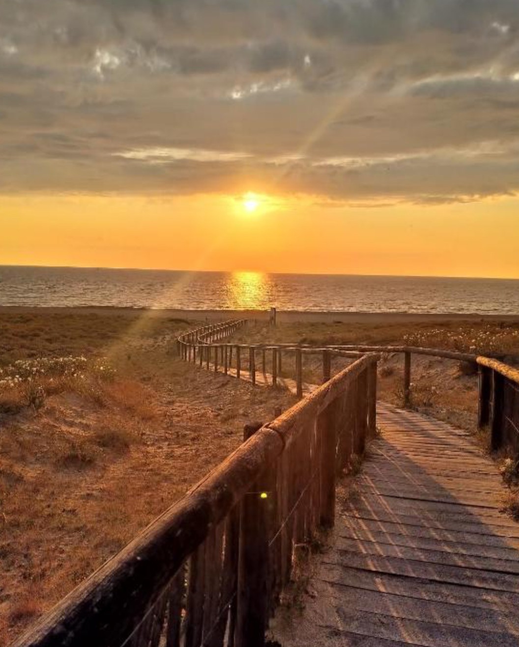 TRIGANO Fiat Trigano Garage S Kaufen