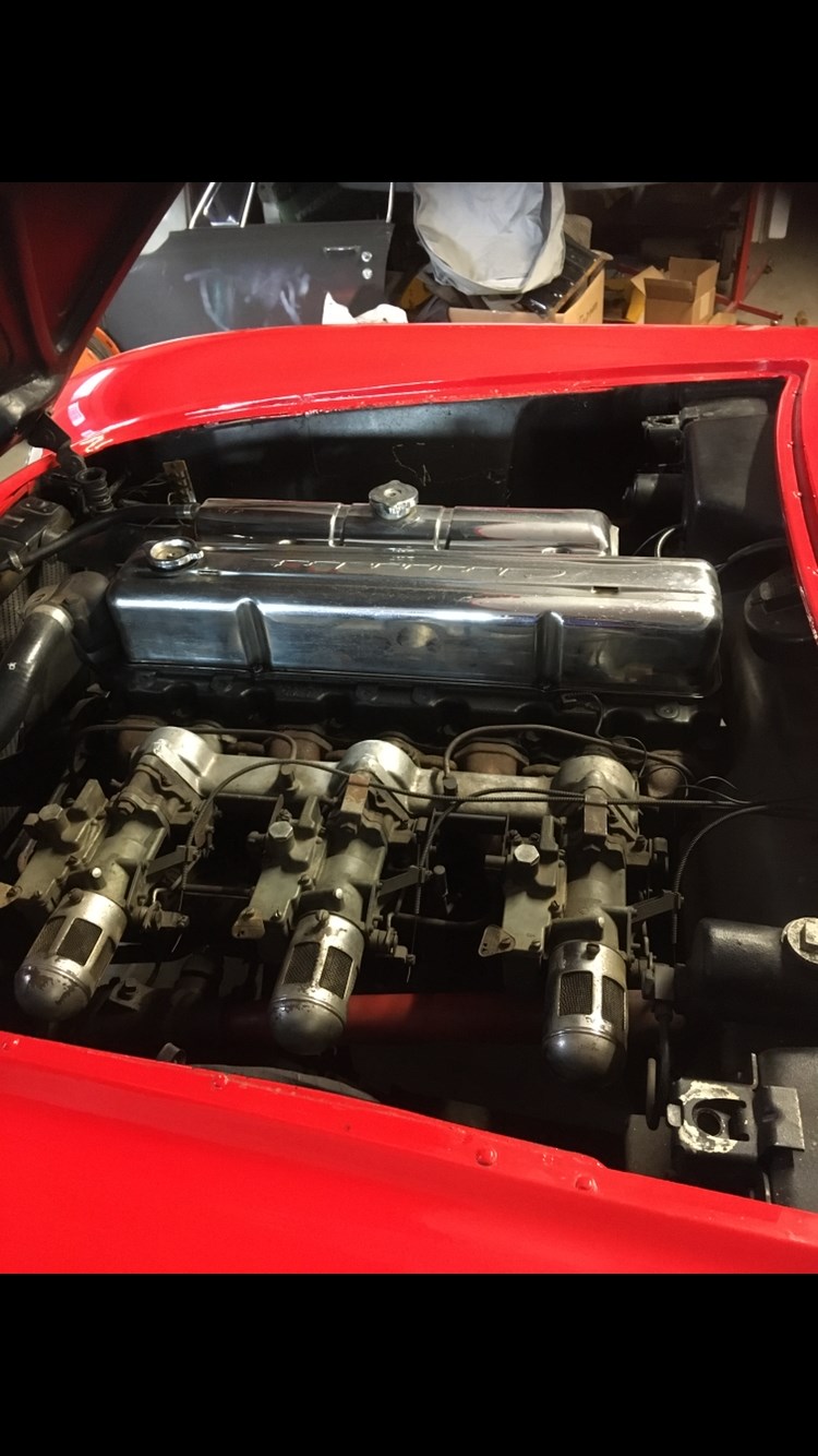 CHEVROLET CORVETTE Blue Flame 6 Kaufen