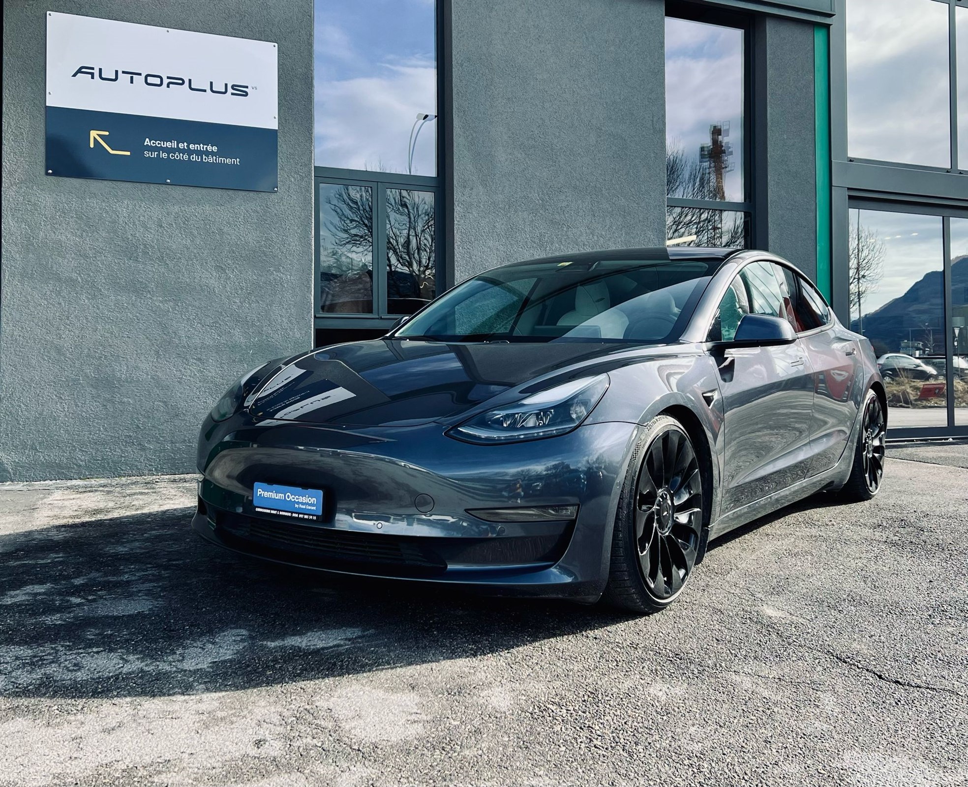 TESLA Model 3 Performance Dual Motor AWD Acquistare in vendita