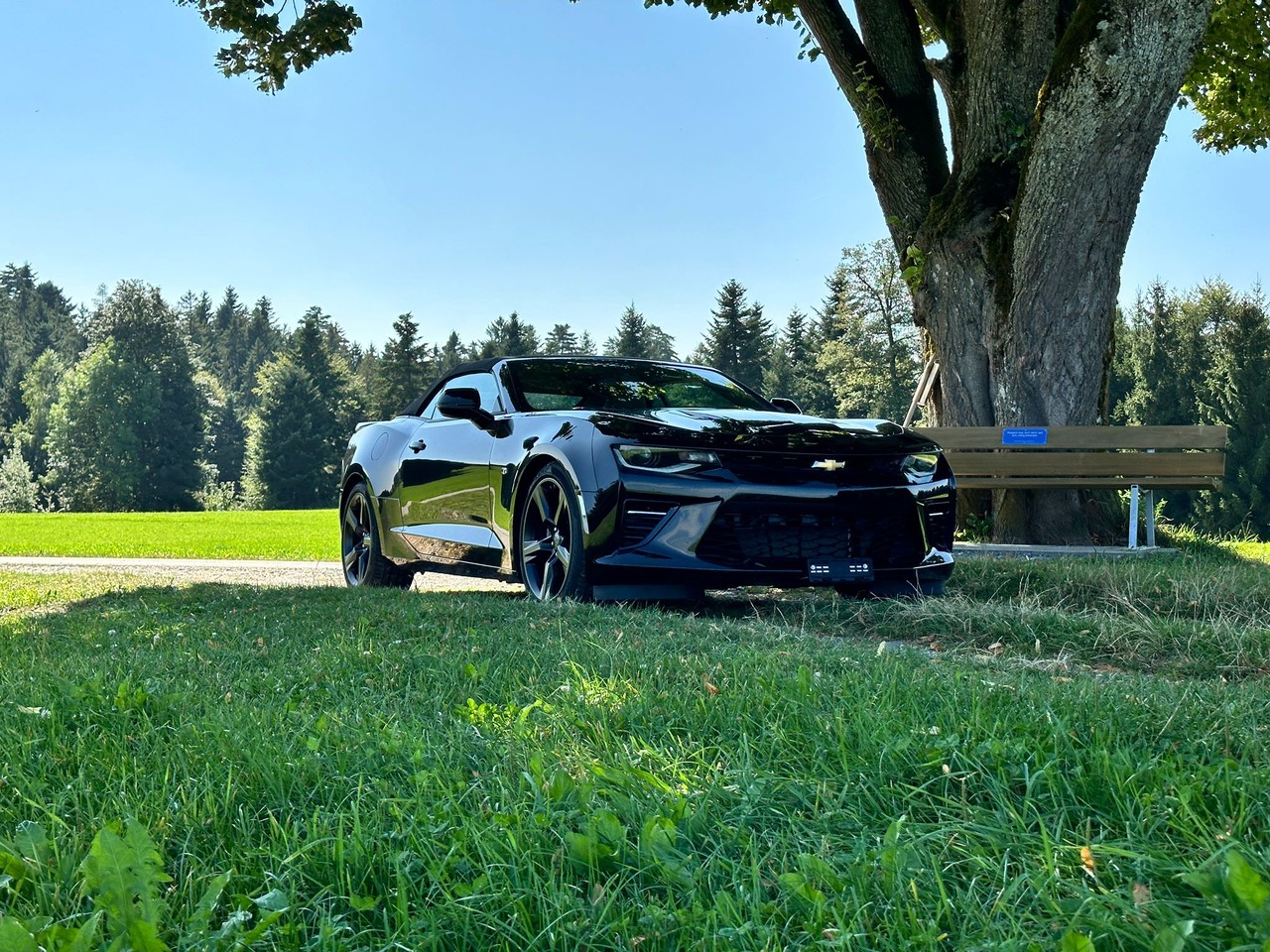 Fabelhafte Chevrolet Camaro Kaufen Ebenbild