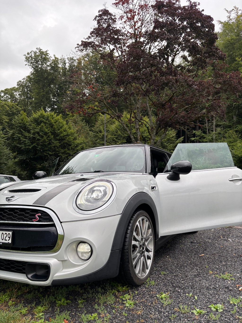 MINI Cooper S Kaufen