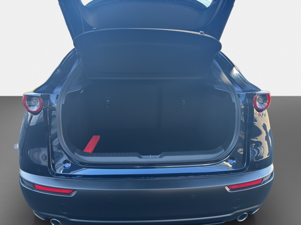 MAZDA CX-30 2.5/140 Homura Kaufen