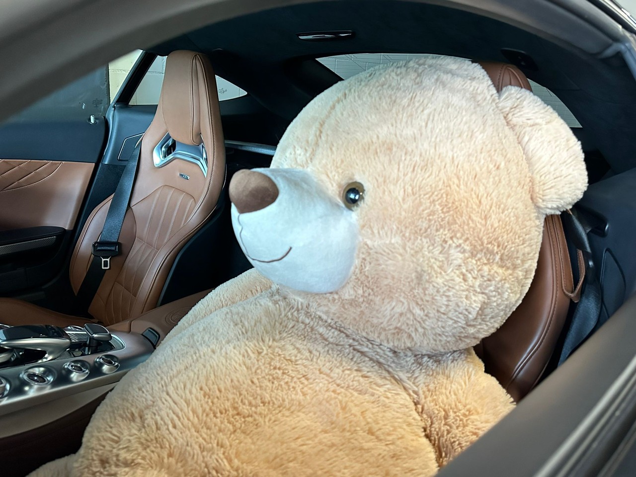 Ted's Cars (JCCM AG) | AutoScout24