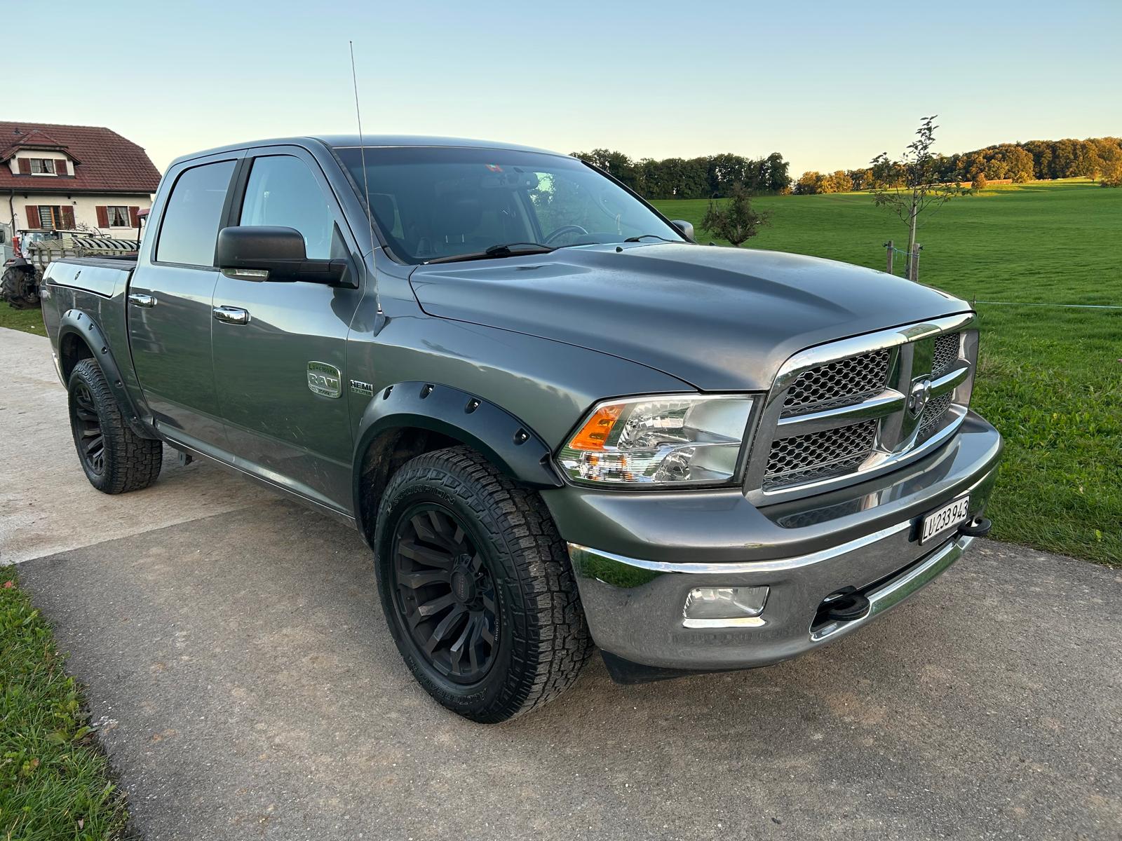 DODGE Longhorn Style Kaufen