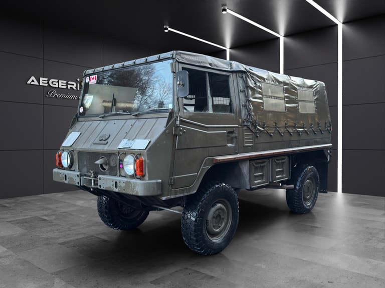 PINZGAUER Nutzfahrzeuge - Occasionen kaufen | AutoScout24