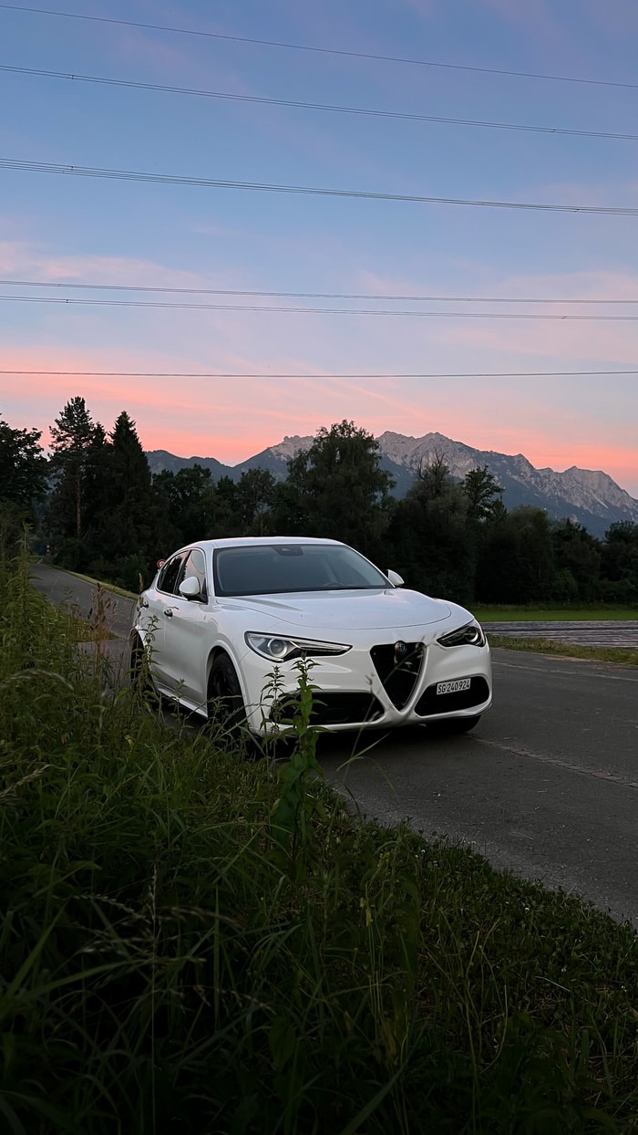 ALFA ROMEO Stelvio 2.0 First Edition Q4 Automatic À vendre