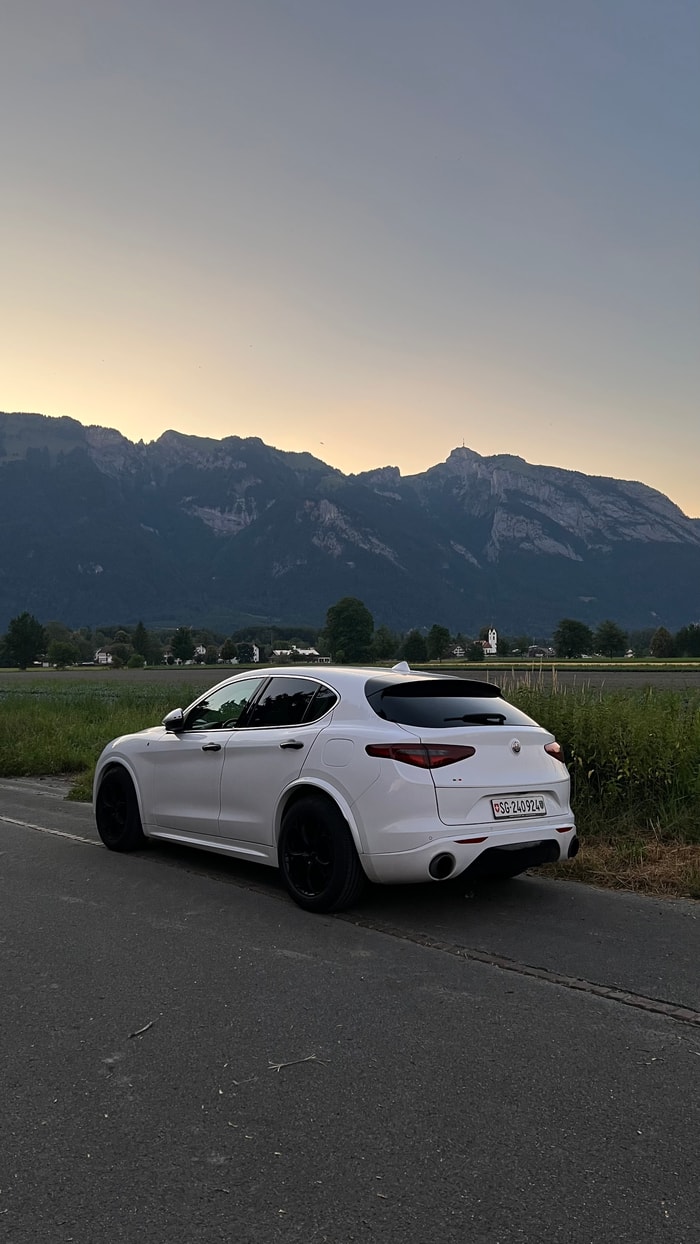 ALFA ROMEO Stelvio 2.0 First Edition Q4 Automatic À vendre
