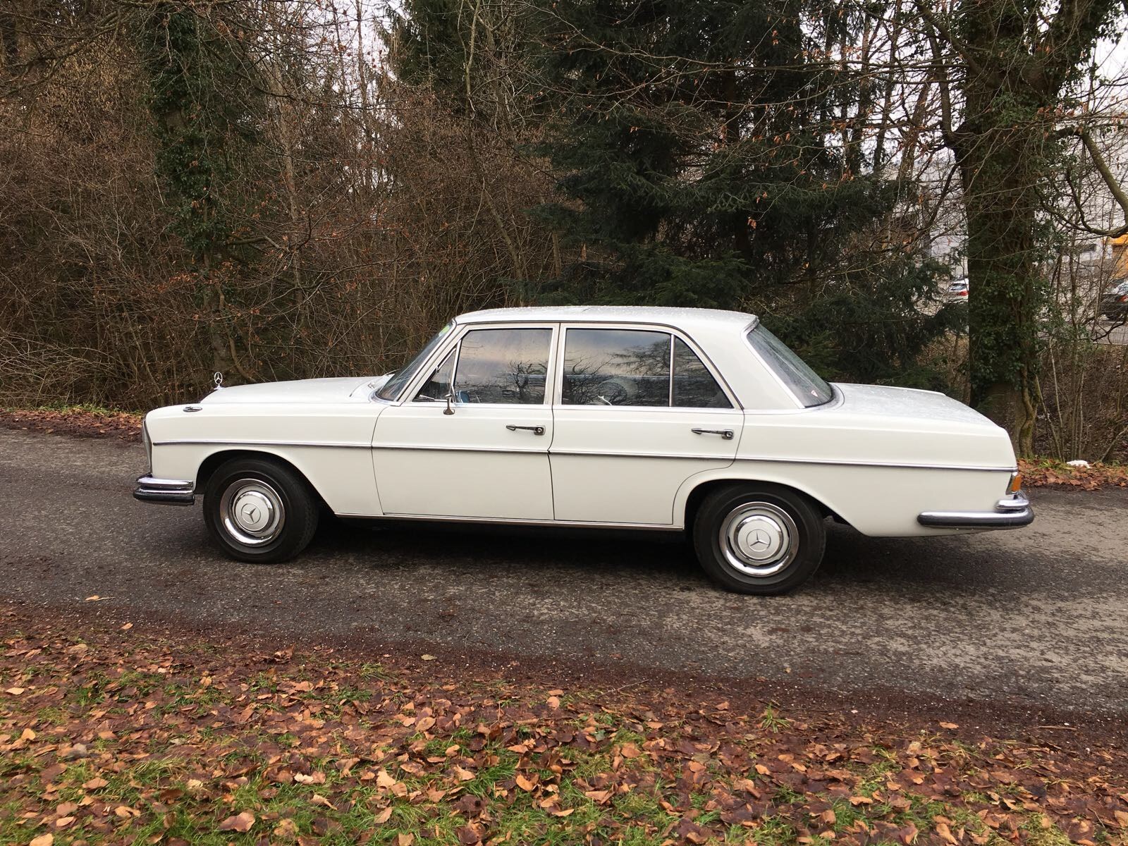 MERCEDES-BENZ 250 SE 250 Automatic Kaufen