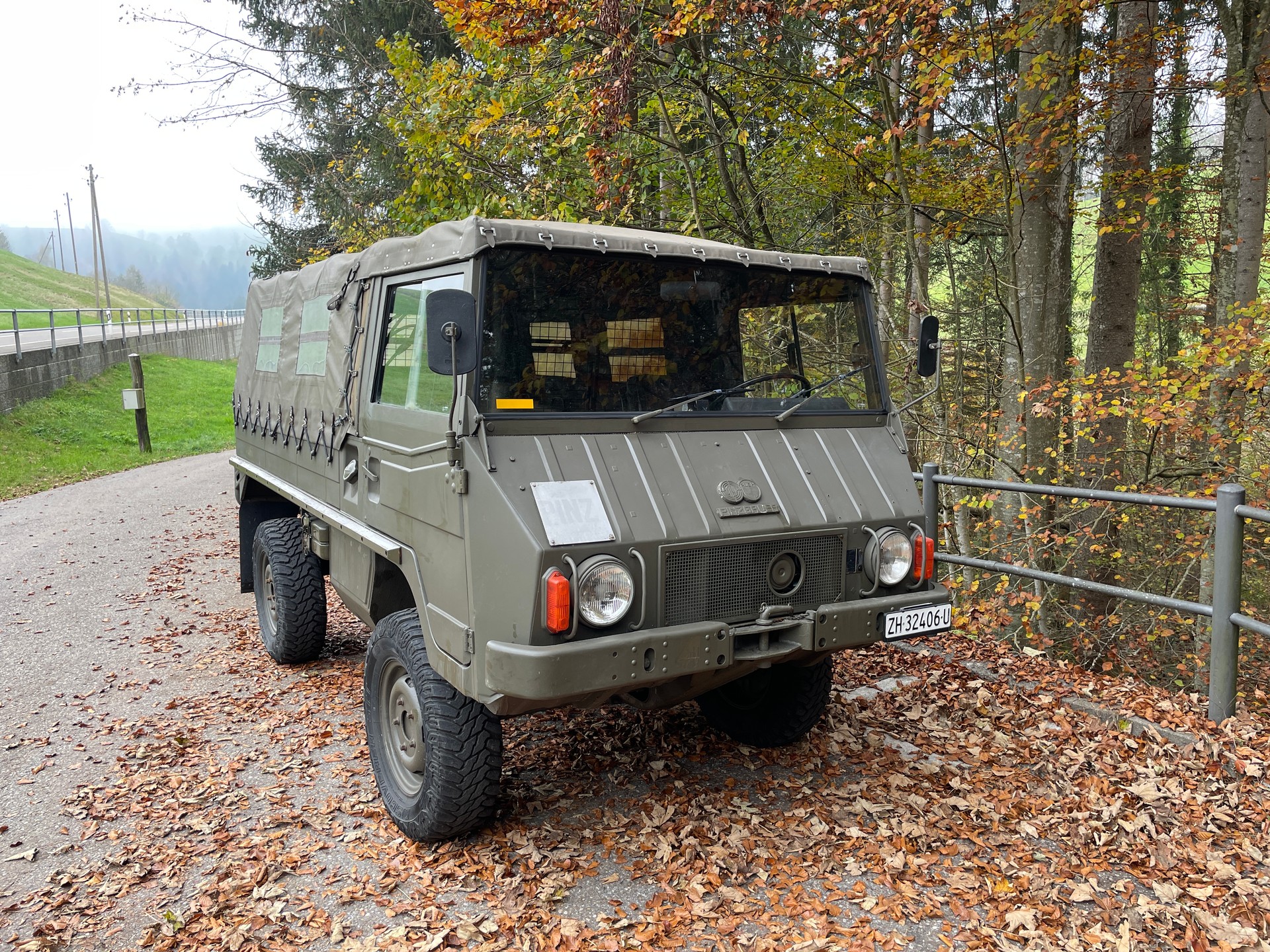 PINZGAUER Nutzfahrzeuge - Occasionen kaufen | AutoScout24
