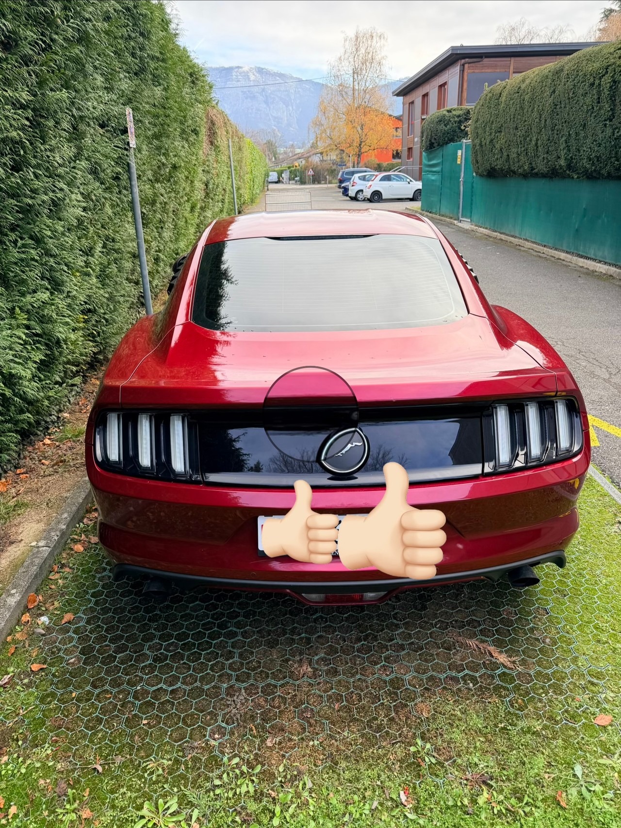 FORD Mustang Fastback 2.3 Kaufen