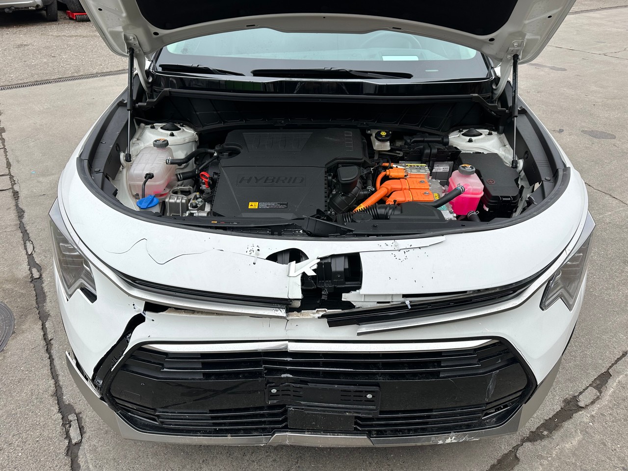 KIA Niro 1.6GDi Hybrid DCT Power Edition Kaufen