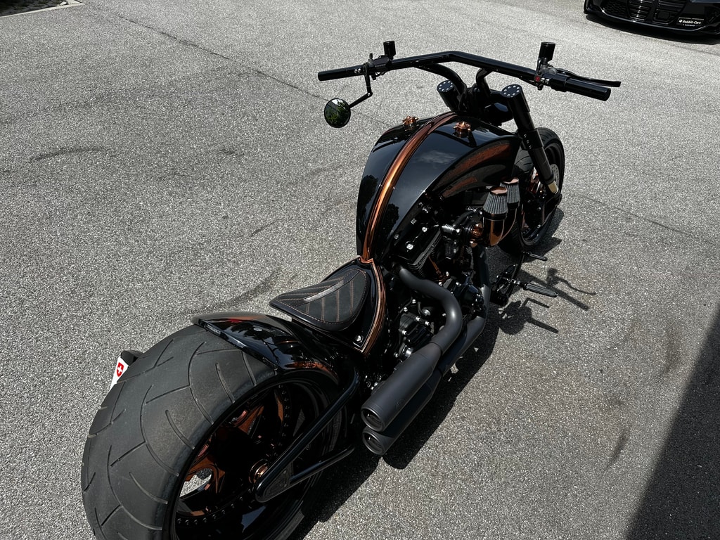 HARLEY-DAVIDSON FLSS Softail BÜNDNERBIKE CUSTOM Kaufen