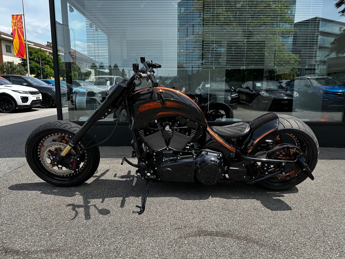 HARLEY-DAVIDSON FLSS Softail BÜNDNERBIKE CUSTOM Kaufen