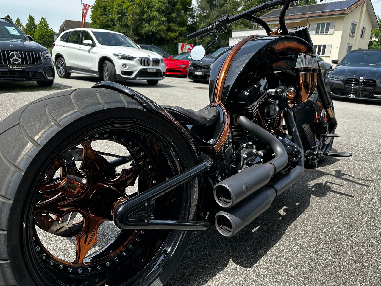 HARLEY-DAVIDSON FLSS Softail BÜNDNERBIKE CUSTOM Kaufen