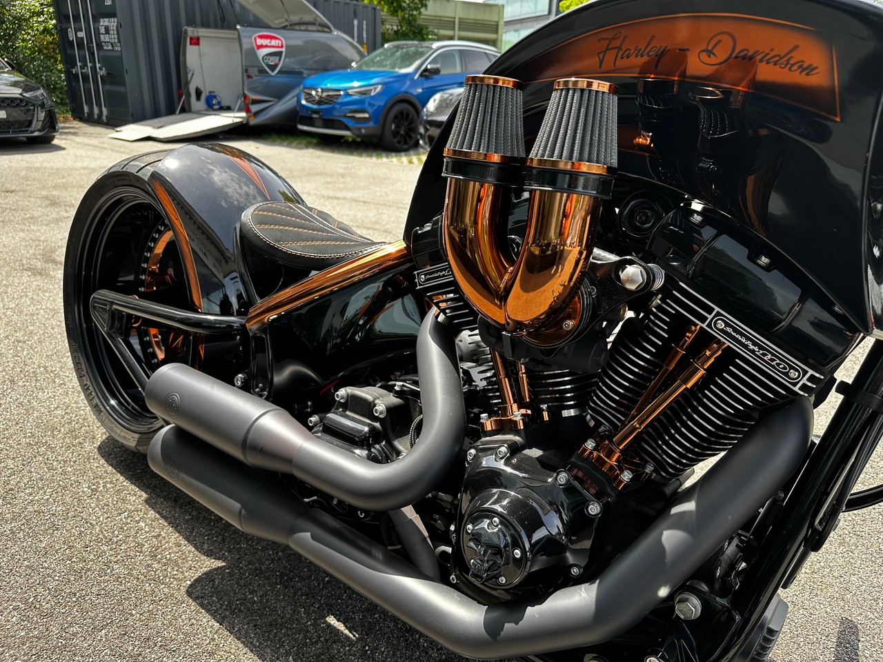 HARLEY-DAVIDSON FLSS Softail BÜNDNERBIKE CUSTOM Kaufen