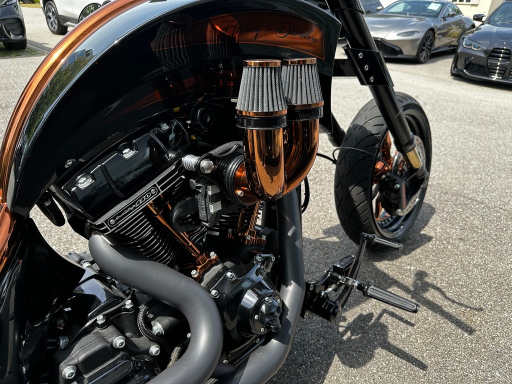 HARLEY-DAVIDSON FLSS Softail BÜNDNERBIKE CUSTOM Kaufen