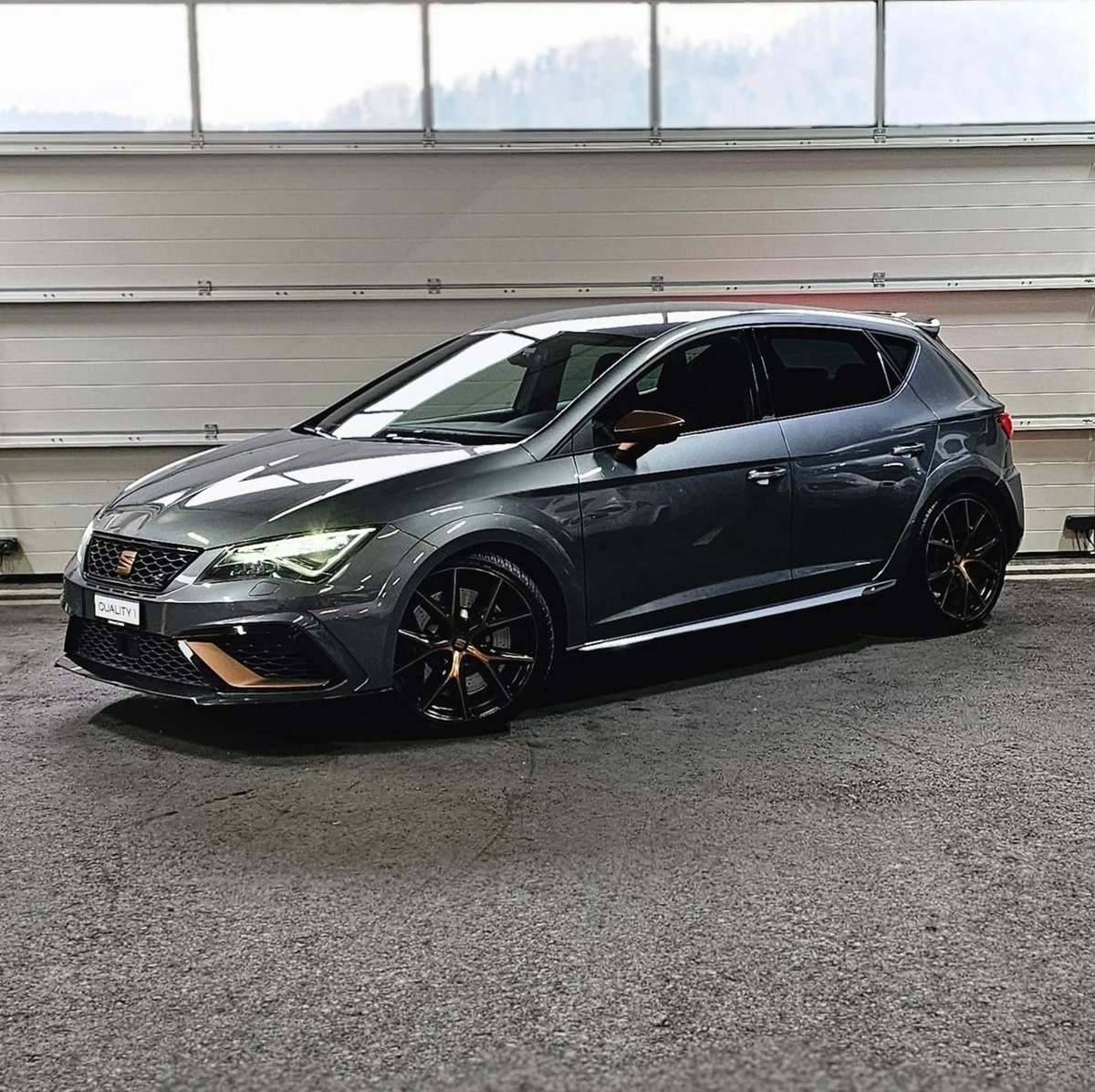Luxus Cupra Leon 20 Tsi Fotos