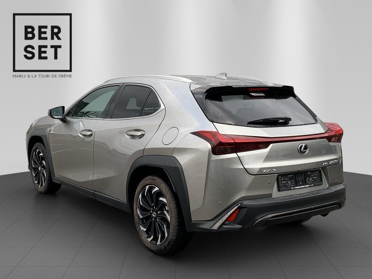 LEXUS UX 250h F-Line Kaufen